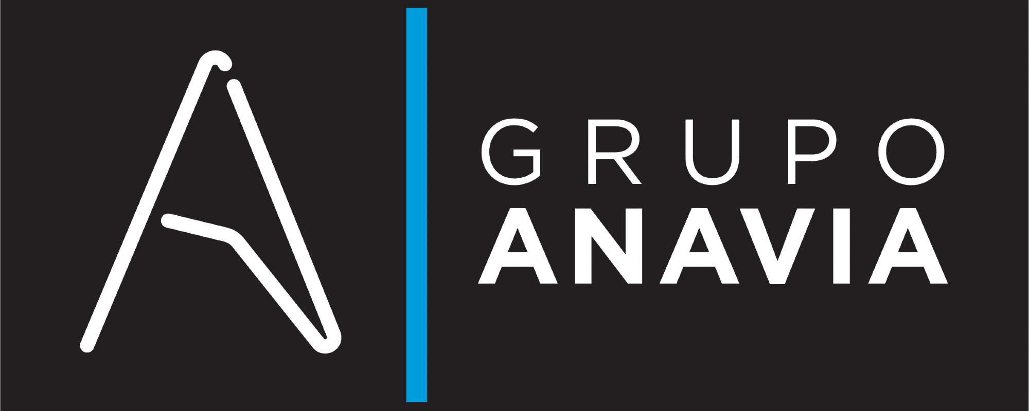 Grupo Anavia jobs